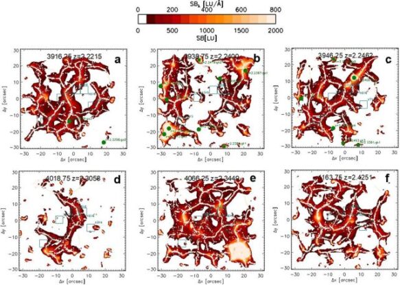 Behold, The First Direct Images of The Cosmic Web in The Dark Reaches ...