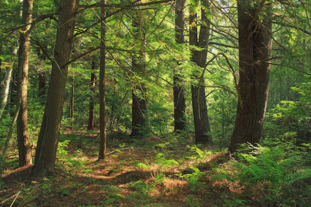 We've Been Overlooking a Major Part of Climate Change, And It's Sending ...