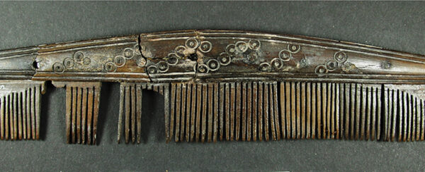 Viking Trade Routes Reached Over Hundreds of Miles to The Arctic, Study ...