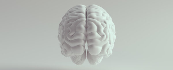 Scientists Find Powerful, Unexplained Signals in The Brain's White ...