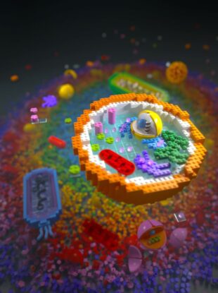 Assembly Theory: Bold New 'Theory of Everything' Could Unite Physics ...