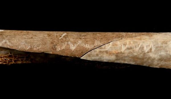 'People Were Eating Them': Long Ago Cannibalism Was Normal, Study Says ...