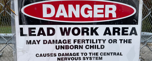 Toxic Impact of Lead Exposure Is Much Greater Than We Knew, Report ...