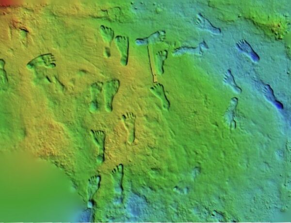 Confirmed: The Oldest Human Footprints in North America Are at Least ...