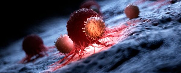 Scientists Find 'Kill Switch' That Activates Cancer Cell Death in The ...