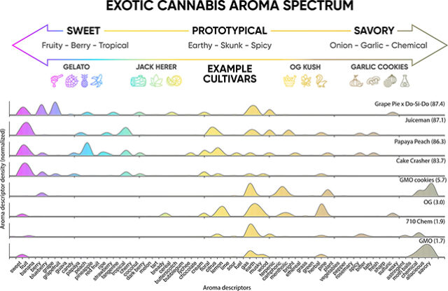 A New Cannabis Compound Discovery Explains Its Distinctive Aromas ...