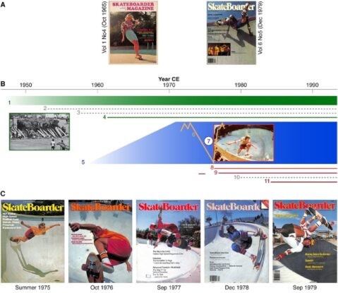 A Perfect Storm of Culture And Climate Gave Us Pro Skateboarding, Study ...