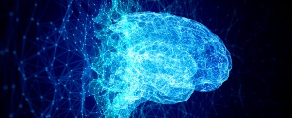 World's First Human 'Brain-Scale' Supercomputer Will Go Online in 2024 ...