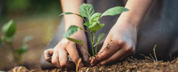 Sustainability: 5 Practical Tips to Make Your Life Greener in 2024 ...
