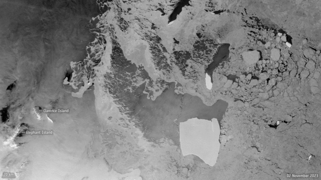 World's Largest Iceberg on The Loose After Being Stuck For Decades ...