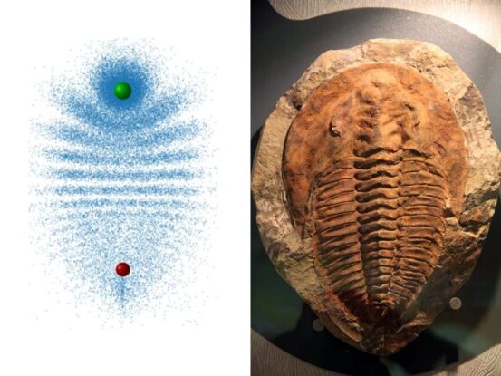 Strange, Trilobite-Shaped Molecules Created in Lab For The First Time ...