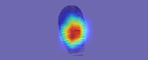 Groundbreaking Study Reveals Your Fingerprints Aren't as Unique as We ...