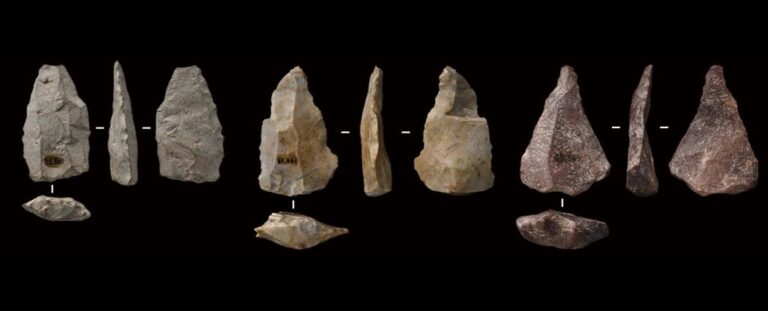 45,000-Year-Old Tools And Bones Reveal Earliest Evidence of Homo ...