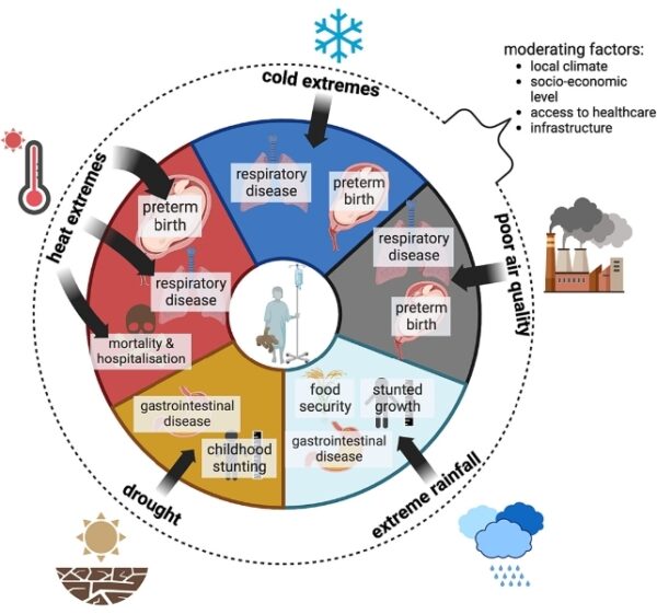 Risk of Preterm Birth Is Dramatically Rising as The World Gets Hotter ...