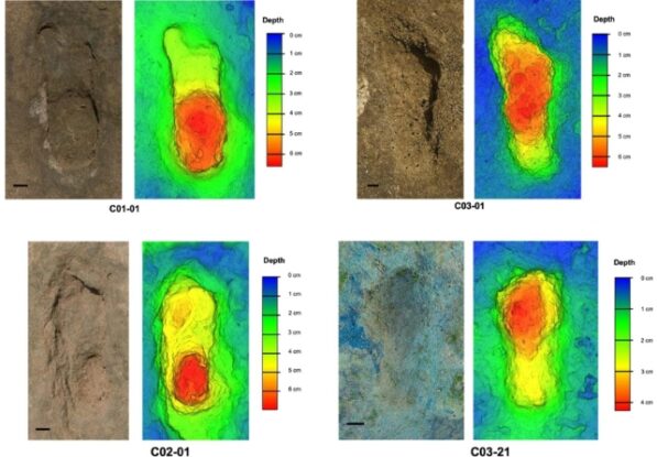 90,000 Years Ago, Humans Walked on a Moroccan Beach. We Just Found ...