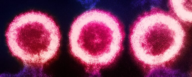 Ancient Viruses Millions of Years Ago Shaped The Bodies We Have Today ...