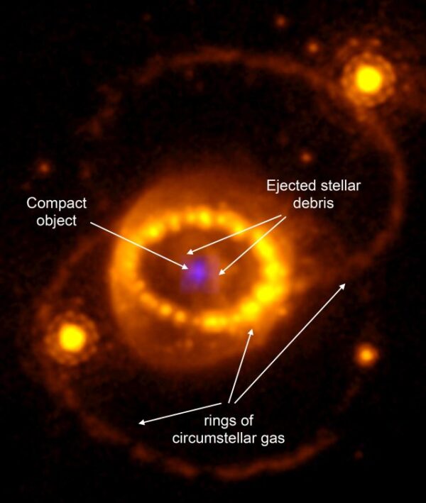 In 1987, We Saw a Star Explode. JWST Finally Found Evidence of Its ...