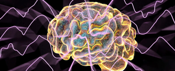 Brain Waves Move in Opposite Directions For Memorizing And Recalling ...