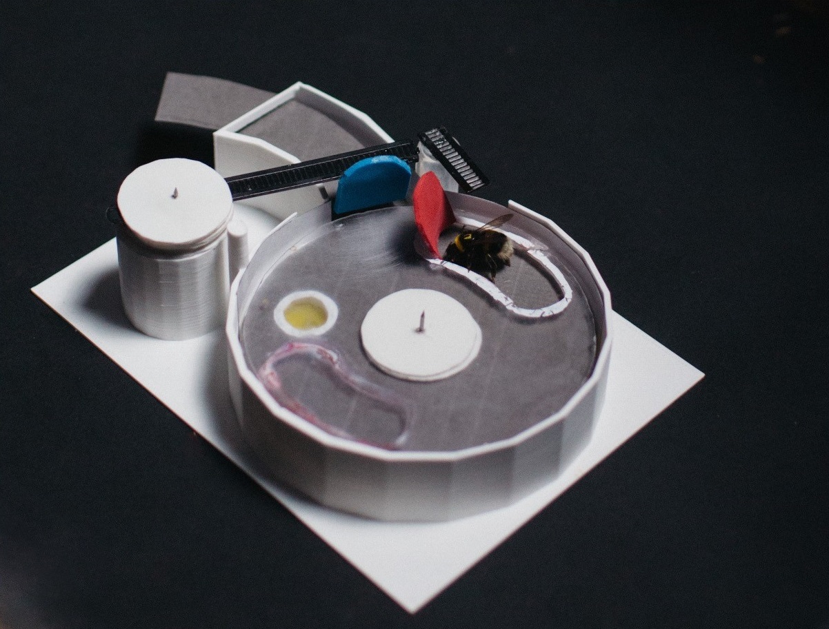 Bees Reveal a Human-Like Collective Intelligence We Never Knew Existed ...