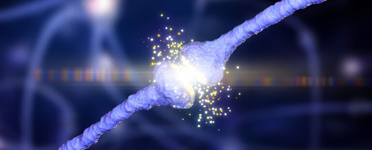 Mysterious 'Zombie Neurons' Unlock Secrets of Learning in The Brain ...