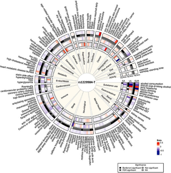 Alcohol-Protective Genes Linked to Other Health Conditions, Scientists ...