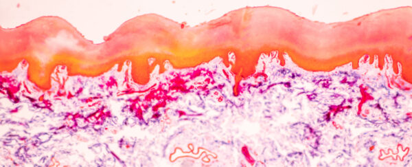 ScienceAlert : The Best in Science News And Amazing Breakthroughs