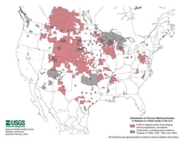 'Zombie Deer' Disease: Zoonotic Transfer Suspected After Two Human ...