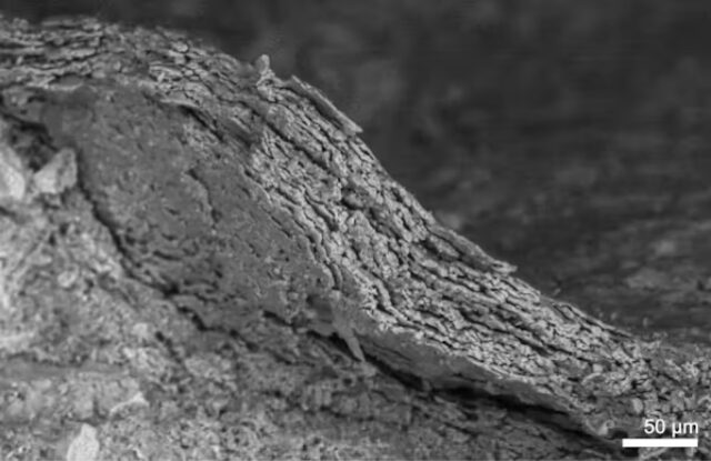 'Hidden Gem' Dinosaur Skin Fossil Reveals Surprises About Feather ...