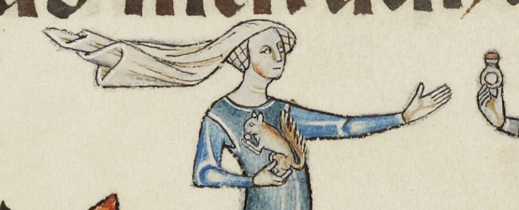 In Medieval England, Leprosy Jumped Between Squirrels And Humans ...