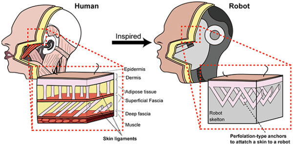 This Smiling Face Made With Human Skin Is Nightmare Fuel. And Amazing ...