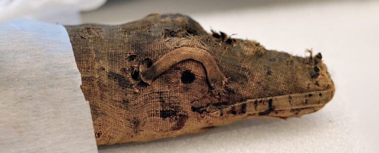 Scan of Mummified Croc's Stomach Reveals Details of Ancient Egyptian ...