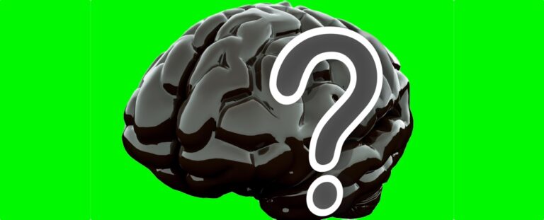 We Now Know The Exact Part of The Brain Behind Your Curiosity ...