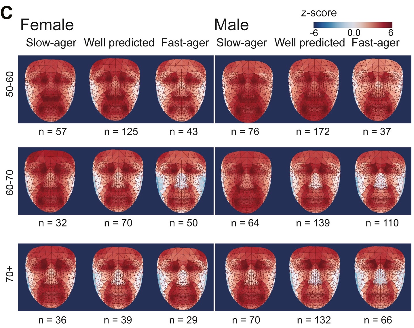 Your Face's Heat Patterns Could Reveal Vital Clues About Your Health ...