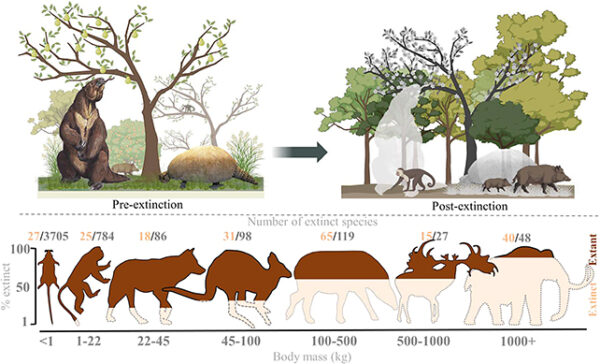 Humans to Blame For Megafauna Extinctions, New Study Suggests ...