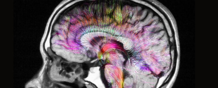 FDA Rejects MDMA For PTSD. What Does This Mean For Future Psychedelic ...