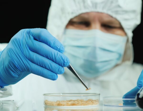 Maggots Are Tiny Heroes of Medicine. Here's Why We Should Love Them ...