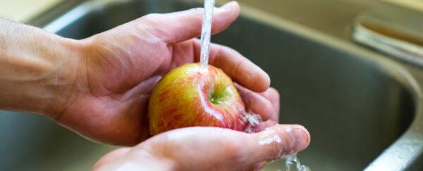 A Microbiologist Explains The Best Way to Wash Fruit And Vegetables ...