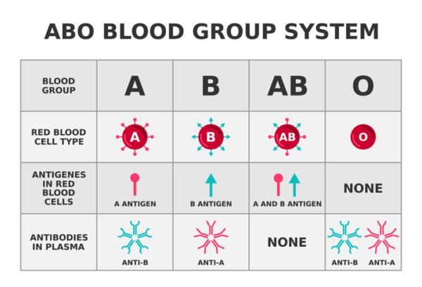 Scientists Identify New Blood Group After a 50 Year Mystery : ScienceAlert