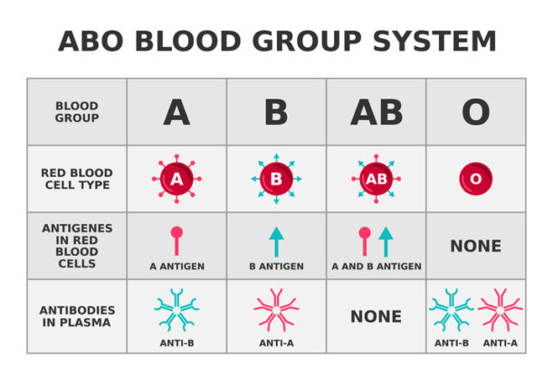 Scientists Identify New Blood Group After a 50 Year Mystery : ScienceAlert