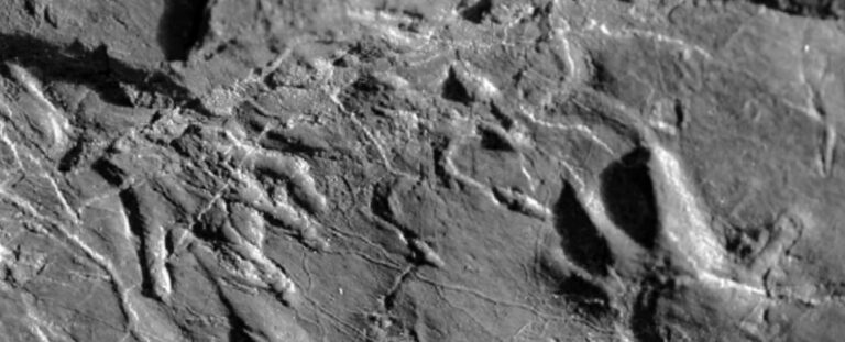 Environment : ScienceAlert - The Best in Science News And Amazing ...