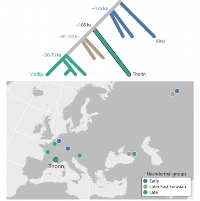 Neanderthal Lineage Was Isolated For an Astonishing 50,000 Years : ScienceAlert