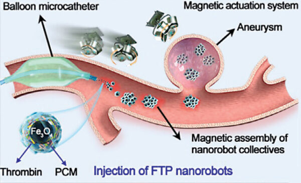 These Tiny Robots Can Patch Up Deadly Bleeds in Animal Brains ...
