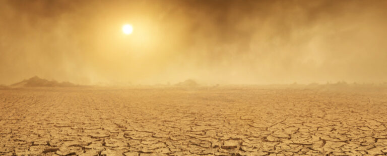 Environment : ScienceAlert - The Best in Science News And Amazing ...