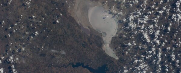 Strange Discovery Finds Earth's Crust 'Dripping' Into The Planet's ...