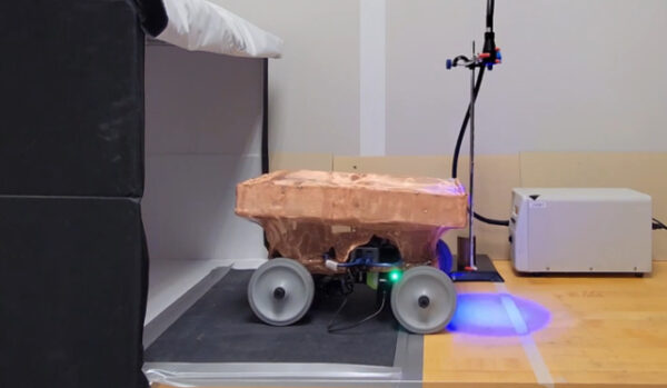 Scientists Gave a Mushroom a Robot Body And Let It Run Wild : ScienceAlert