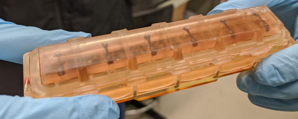 Space Travel Makes The Heart Grow Weaker, Study Finds : ScienceAlert