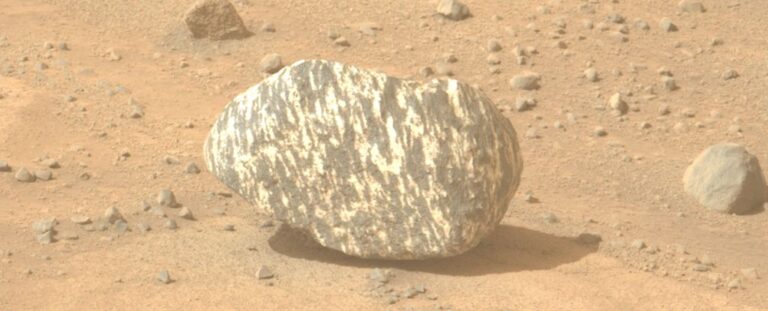 Perseverance Found a Zebra-Striped Rock on Mars, And NASA Is Excited ...
