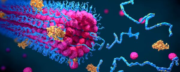 Ingenious AI Solution to Protein Puzzle Wins Nobel Prize in Chemistry ...