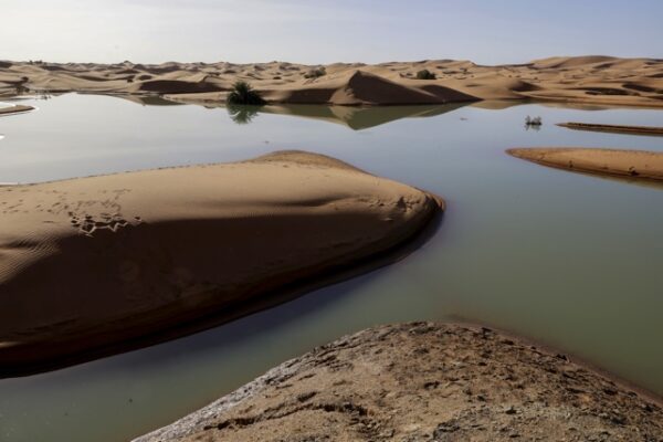 'Exceptional': Intense Rainfall Has Transformed The Sahara Desert ...
