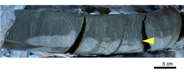 Microbes Found Alive Sealed in Rock For 2 Billion Years : ScienceAlert